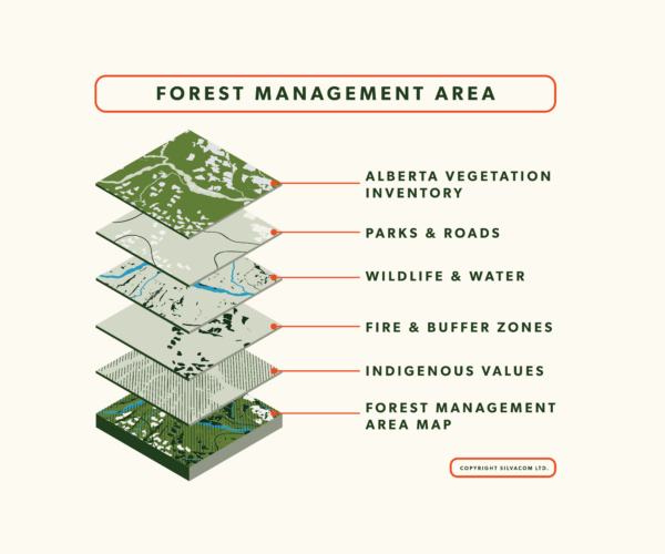 All About Alberta's Sustainable Forestry Practices — and Why That ...