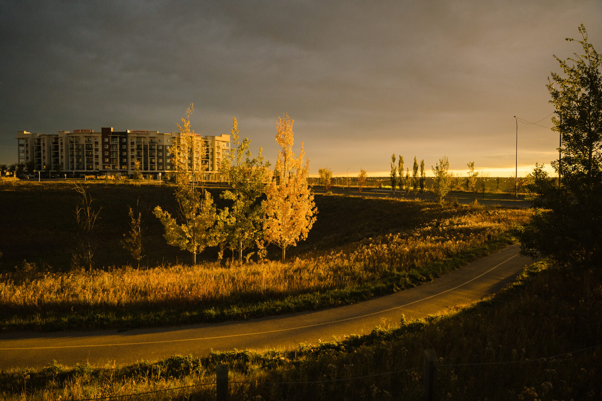 Discover Sage Hill Crest with Avenue Magazine - Avenue Calgary
