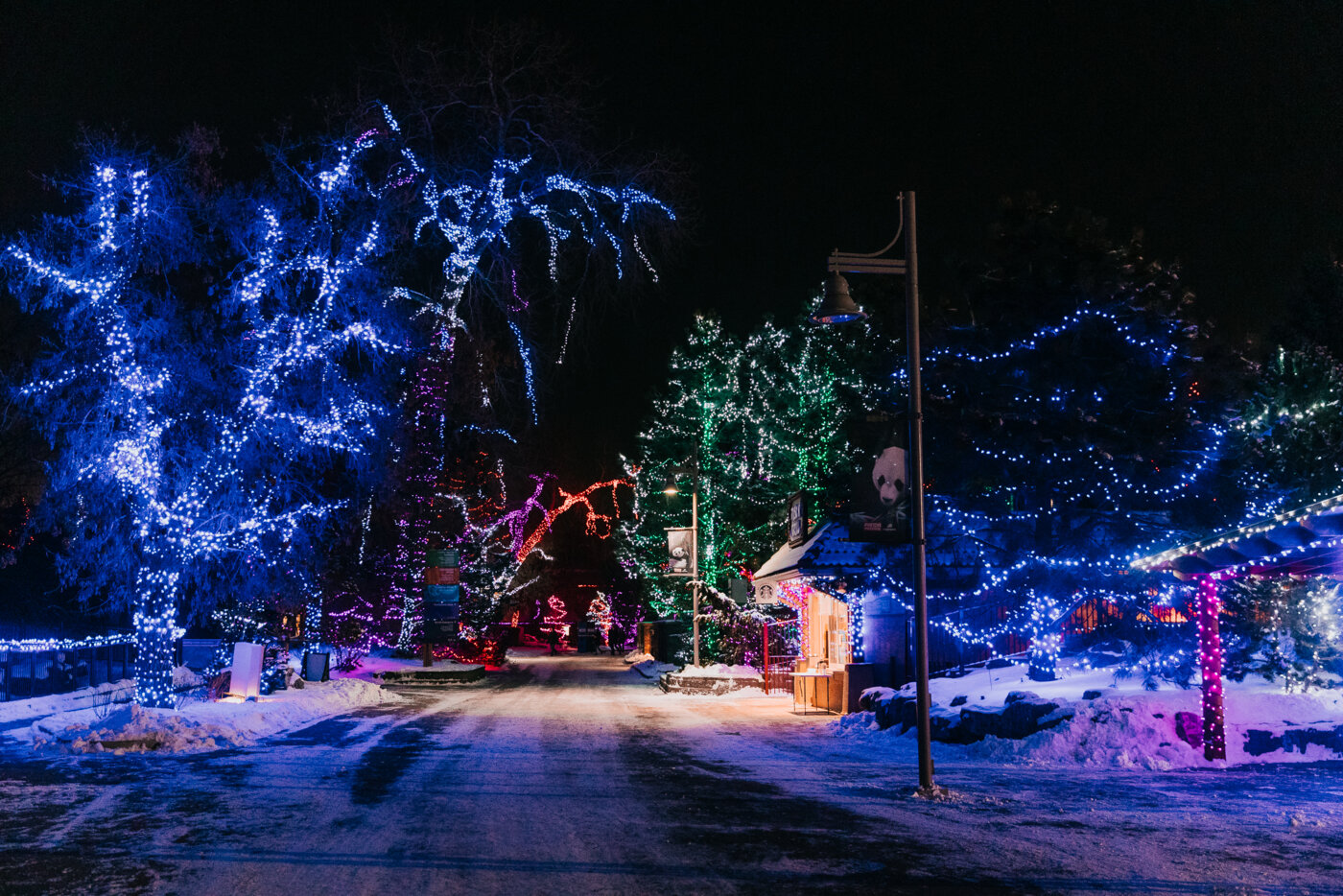 How to Kickstart Your Holiday Spirit in November - Avenue Calgary