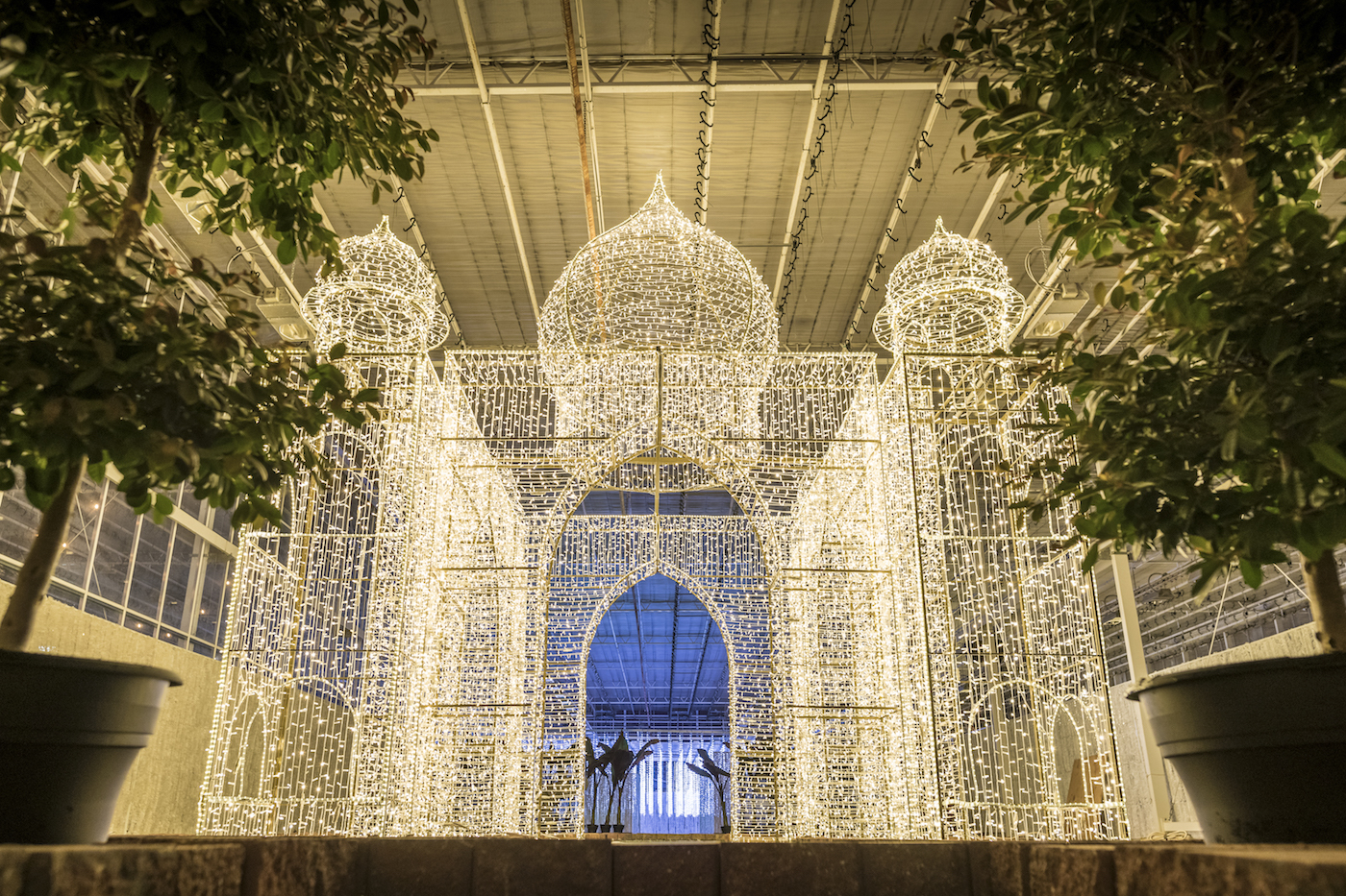 There's a New Christmas Light Festival in Calgary - Avenue Calgary