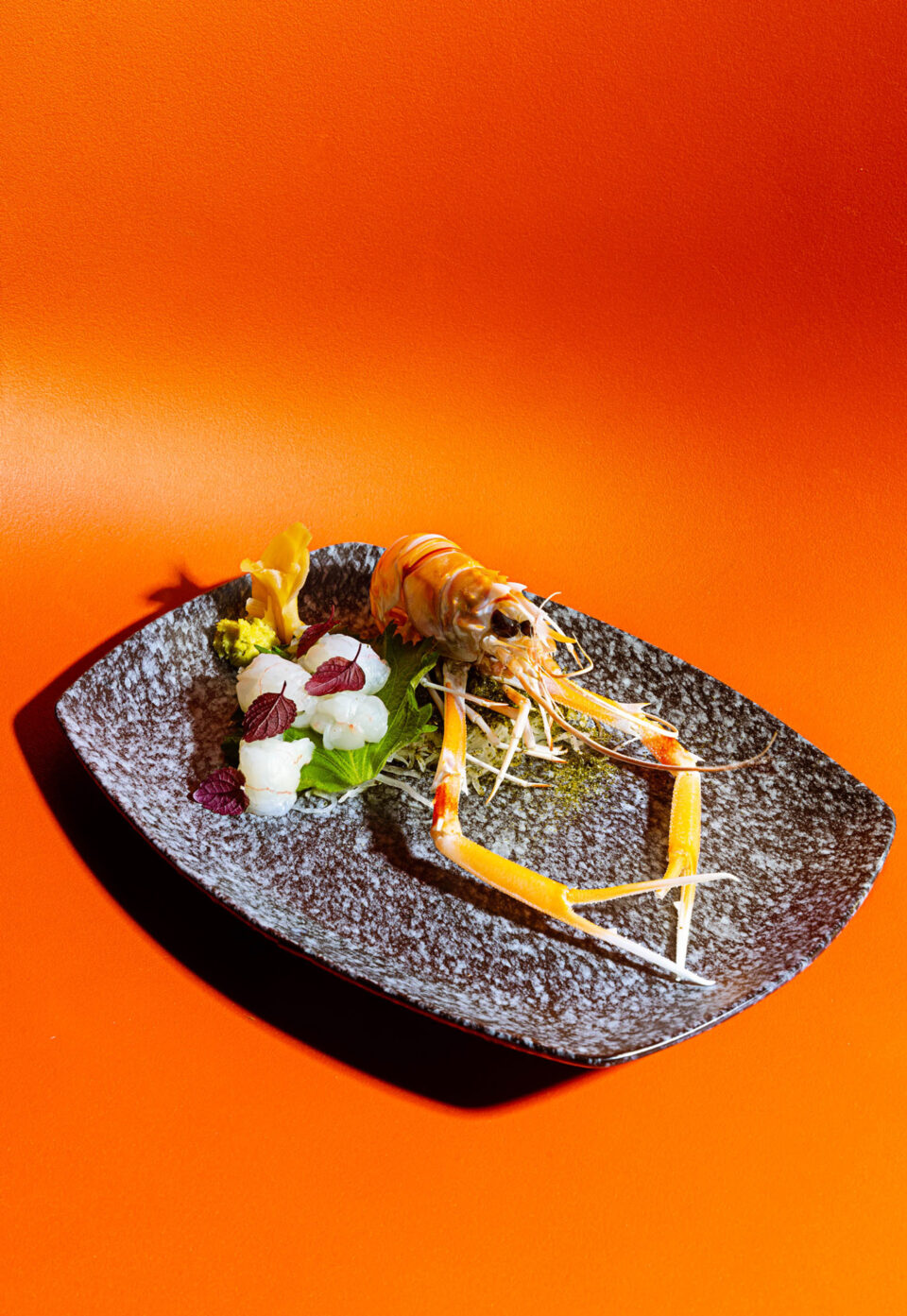 Shokunin | Calgary’s Best Restaurants 2023 - Avenue Calgary