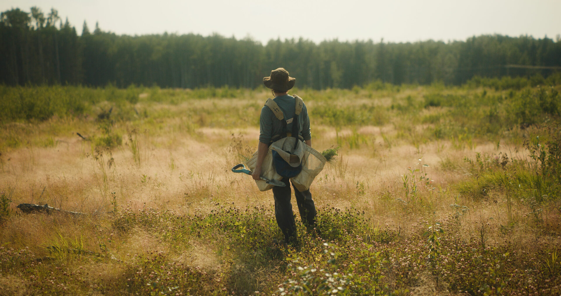 Caring for Alberta’s Forests - Avenue Calgary