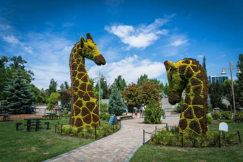 5 Things to See and Do at the Wilder Institute/Calgary Zoo this Summer ...