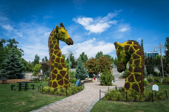 5 Things to See and Do at the Wilder Institute/Calgary Zoo this Summer ...