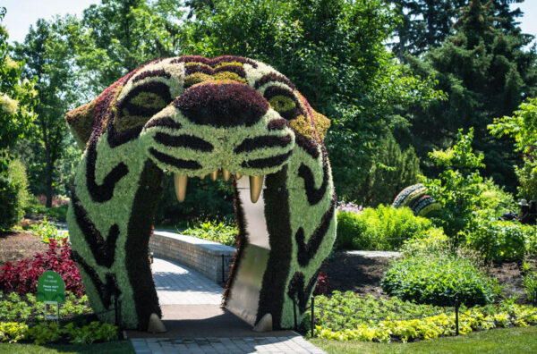 There are Huge Animal Plant Sculptures at the Wilder Institute/Calgary ...