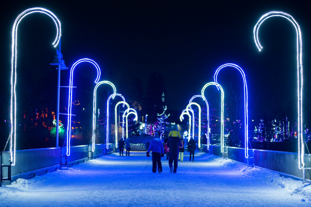 Celebrate the holidays at Calgary’s WILDEST event venue - Avenue Calgary