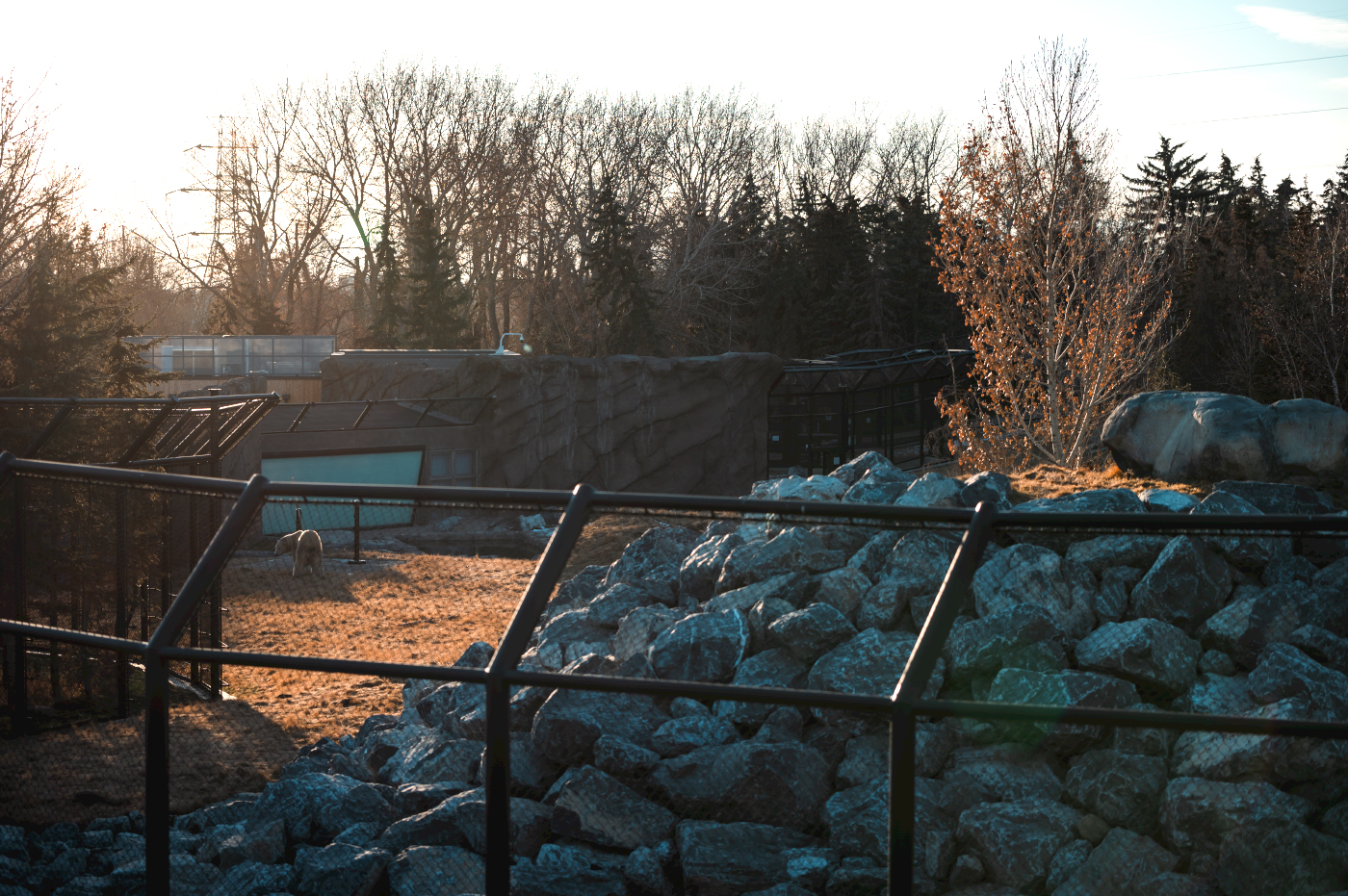 Inside the Redeveloped Wild Canada Zone at the Wilder Institute/Calgary ...