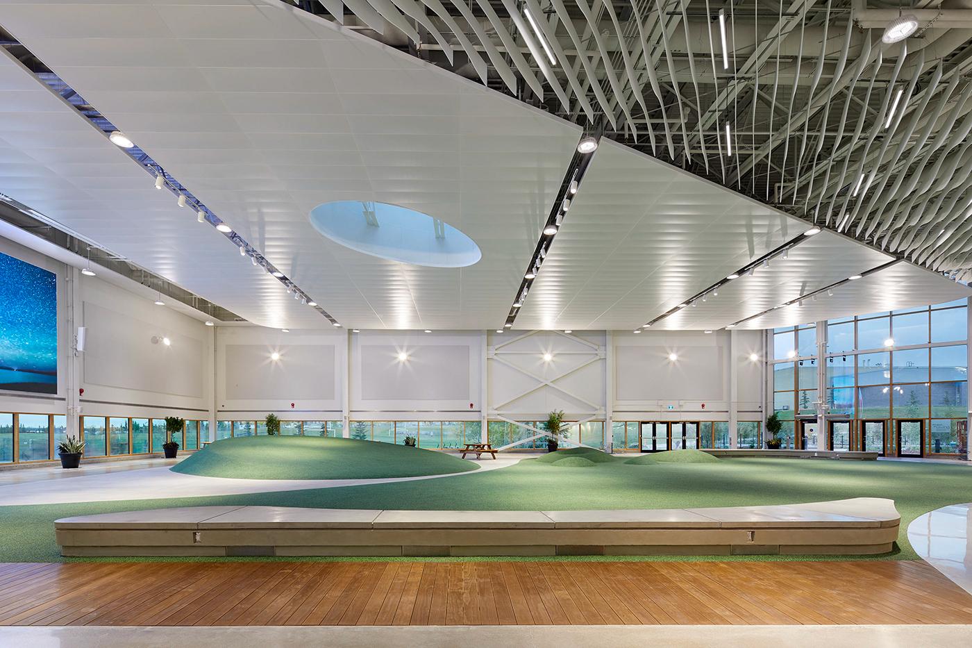 Did You Know Vivo is Home to Calgary’s First Indoor Park? - Avenue Calgary