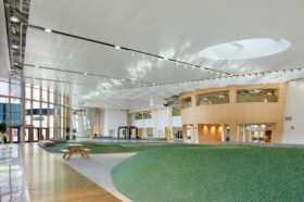 Did You Know Vivo is Home to Calgary’s First Indoor Park? - Avenue Calgary