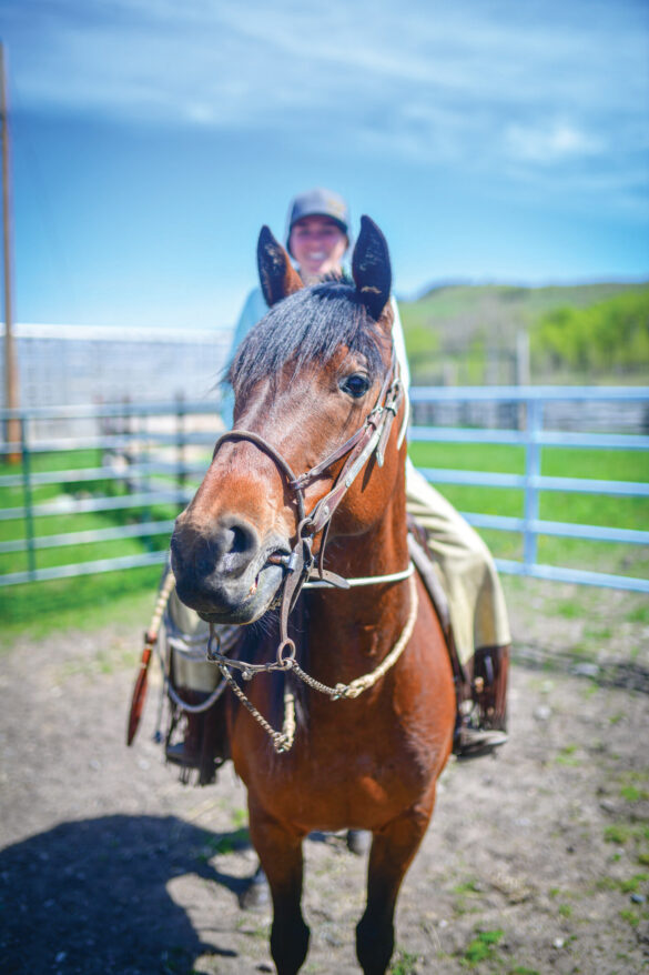 Experience the Mountains on Horseback at Thanksgiving Ranch - Avenue ...