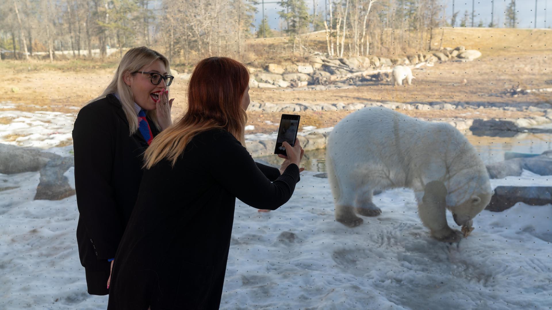Retreat into Wild Canada - Avenue Calgary