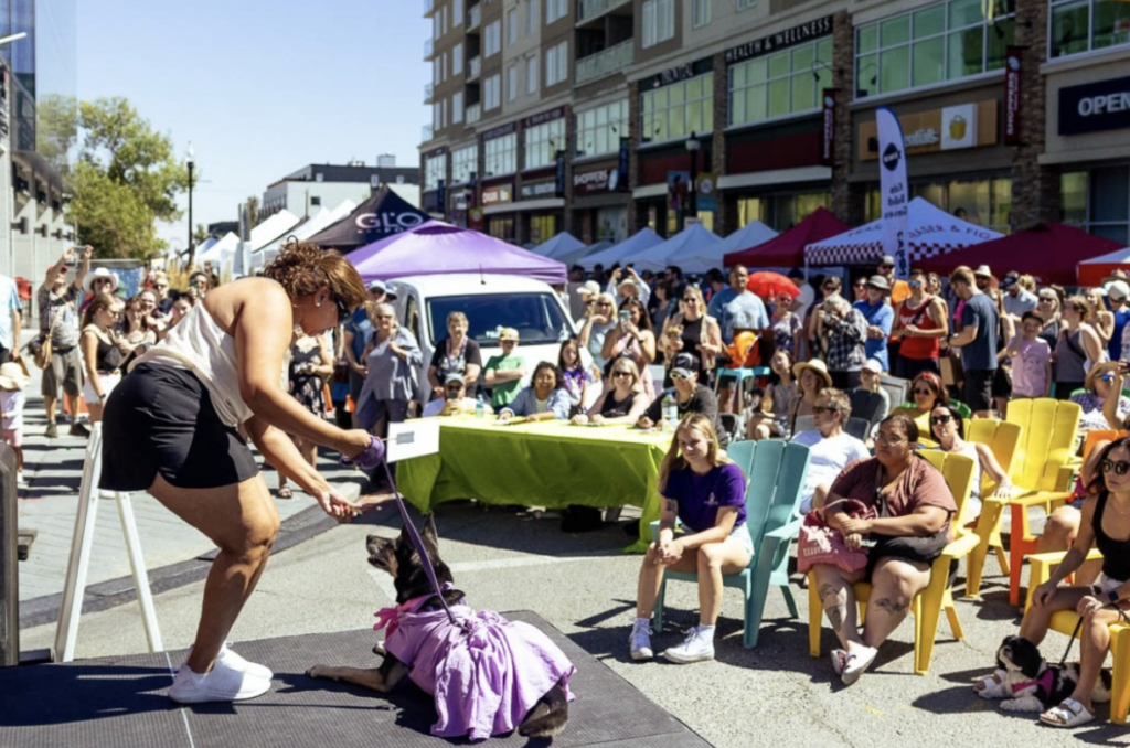 Stay in the Loop: Marda Loop Construction in Final Phase - Avenue Calgary