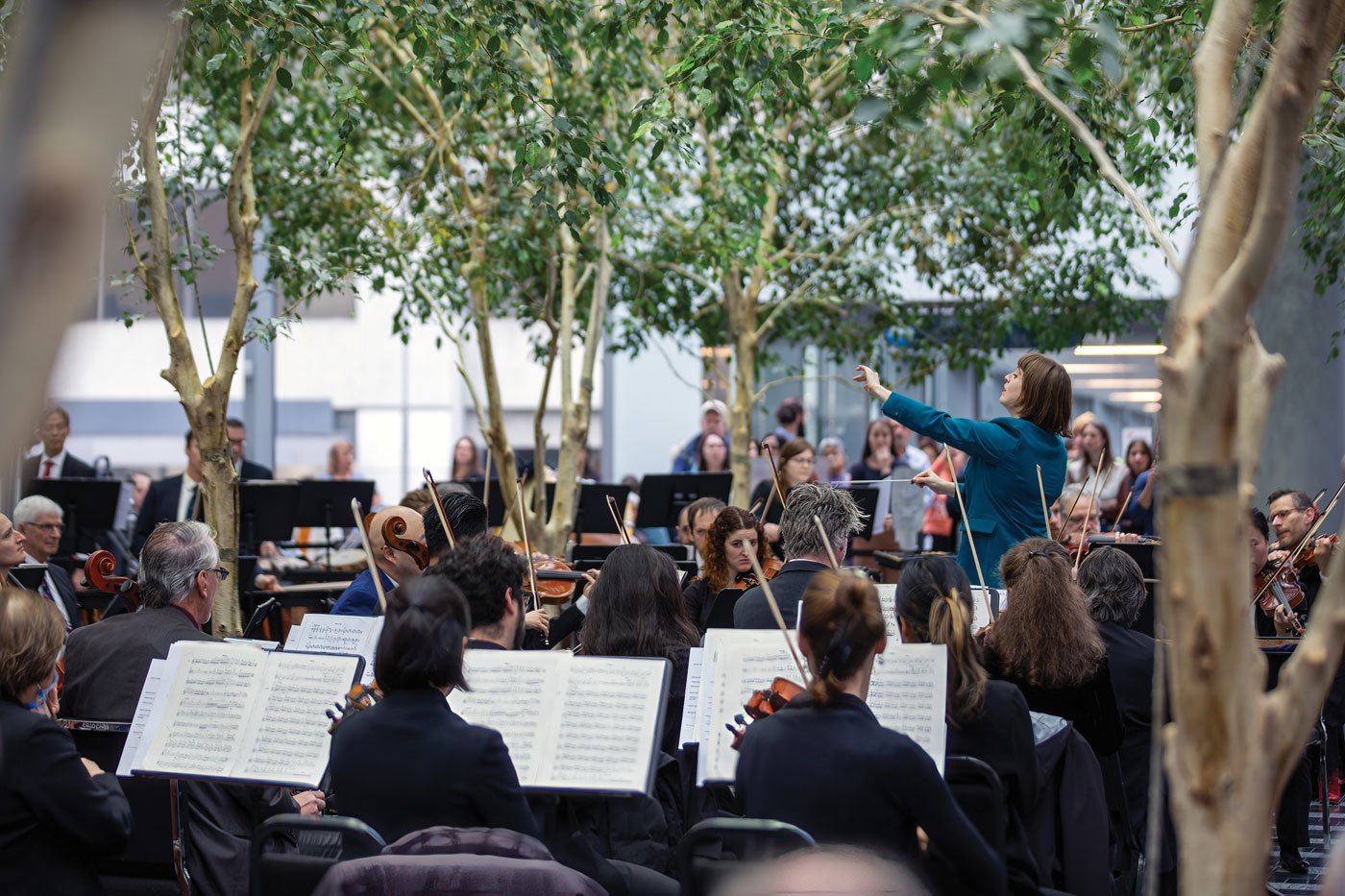 Making the Arts More Affordable in Calgary - Avenue Calgary