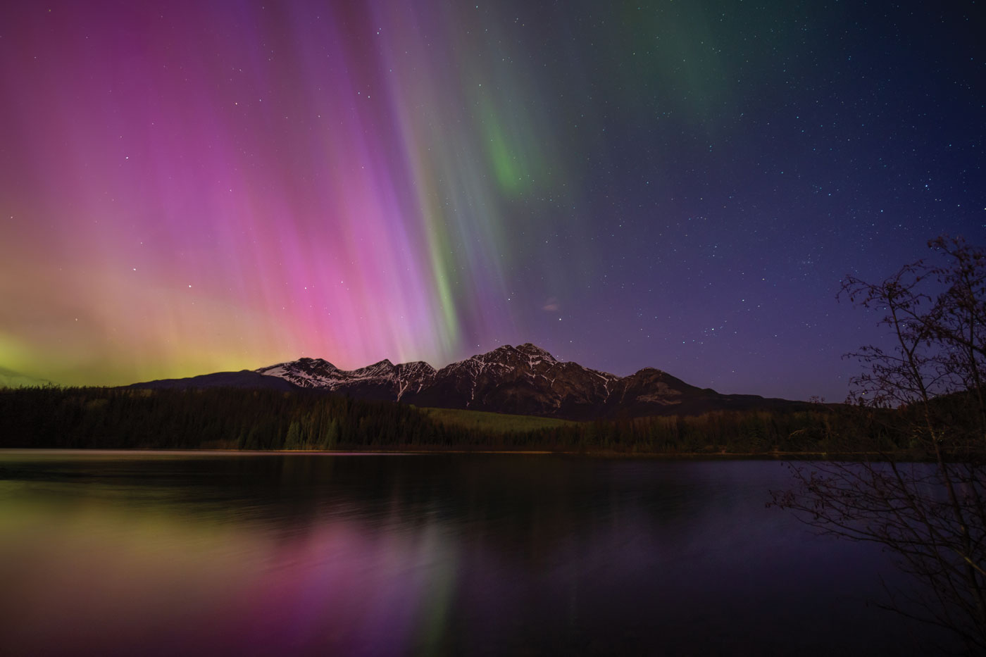 Indigenous-Led Stargazing Experiences in Alberta - Avenue Calgary