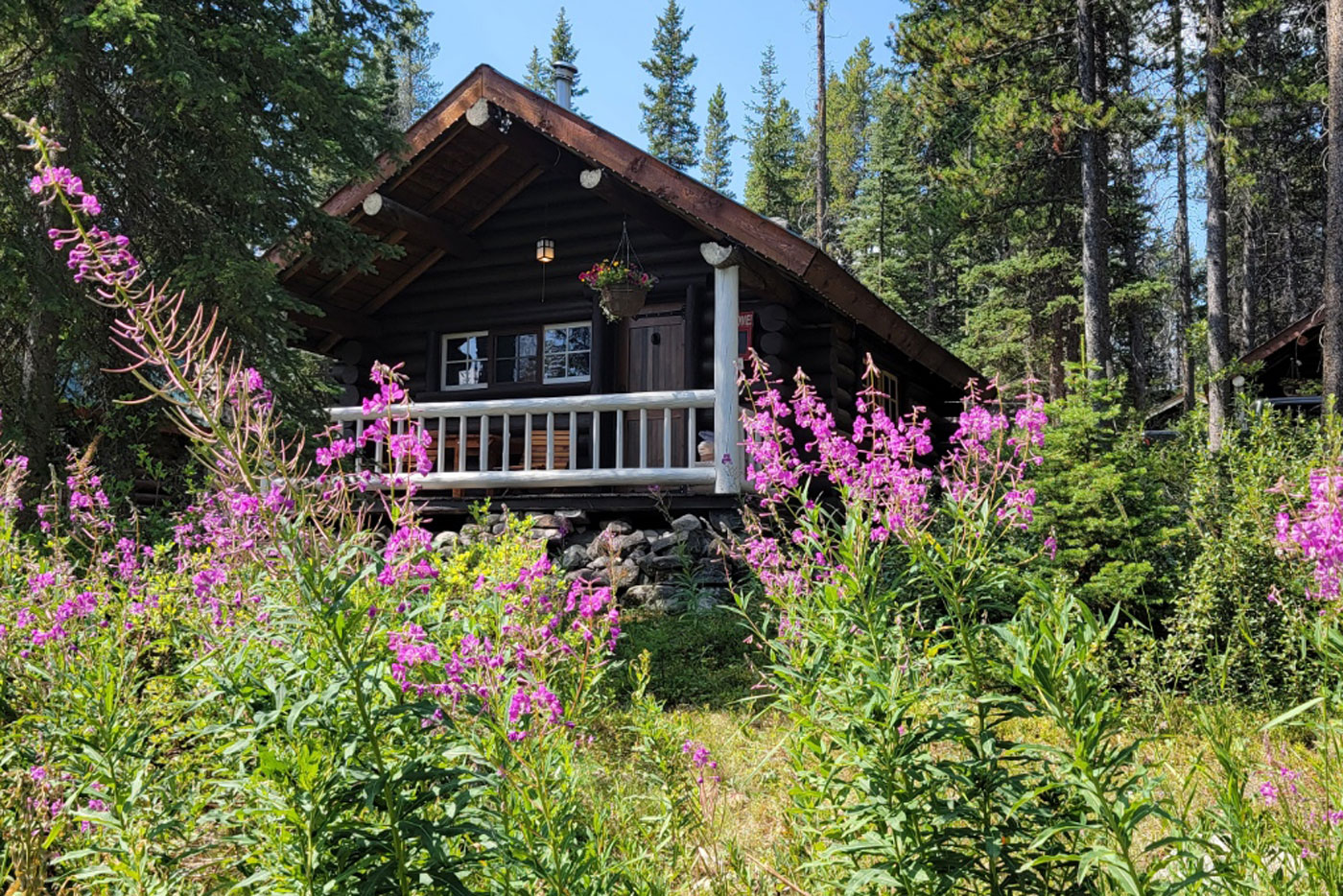 Things To Do - Avenue Calgary