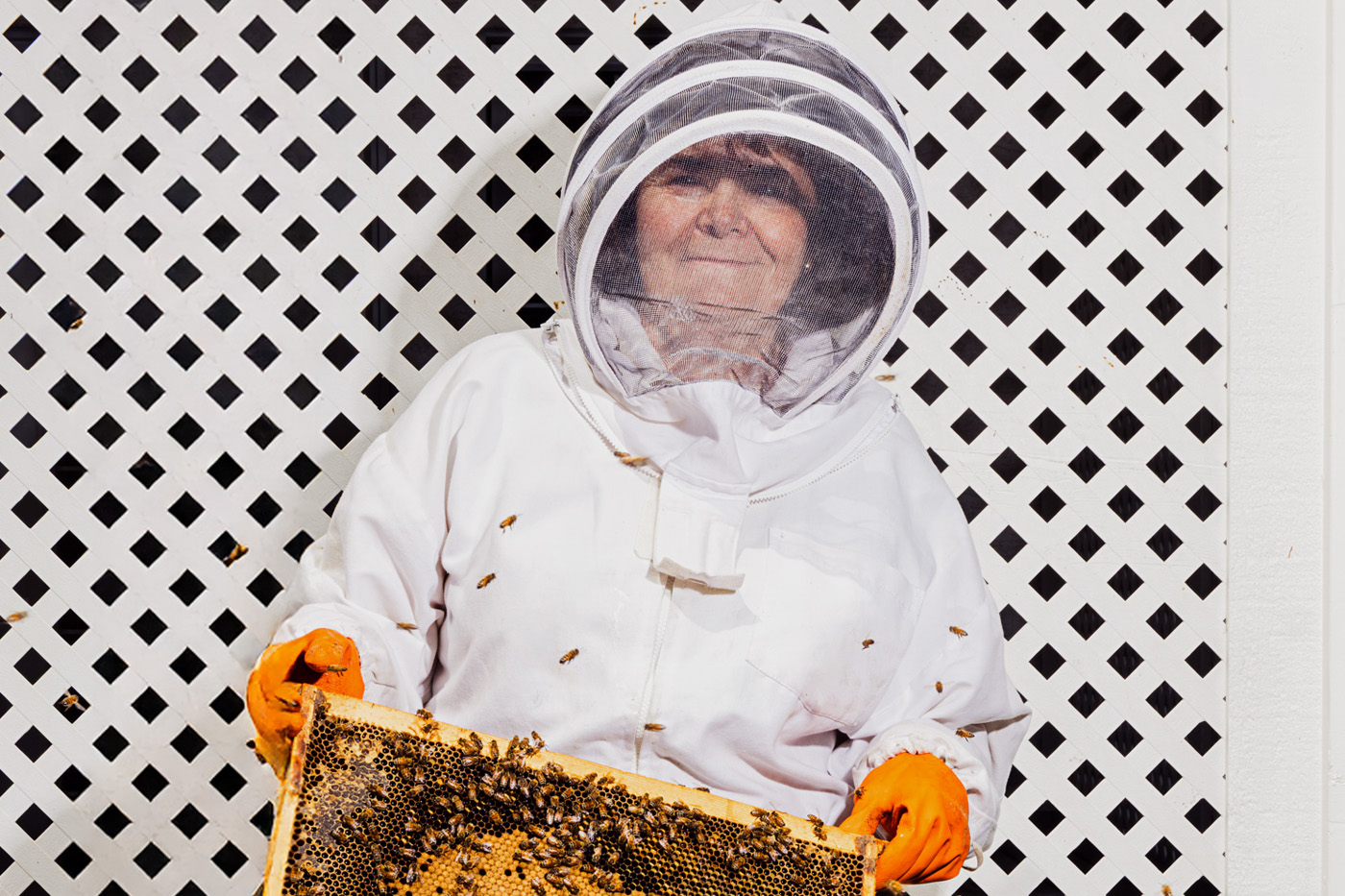 How the Calgary and District Beekeepers Association Helps Local ...