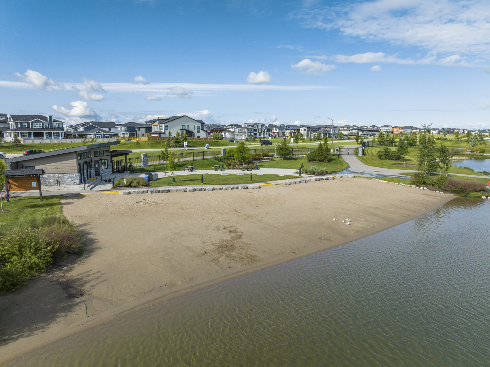 Finding Harmony in Springbank - Avenue Calgary