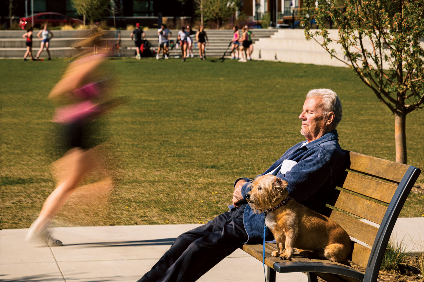 Why University District is One of Calgary's Best Neighbourhoods 2025 ...