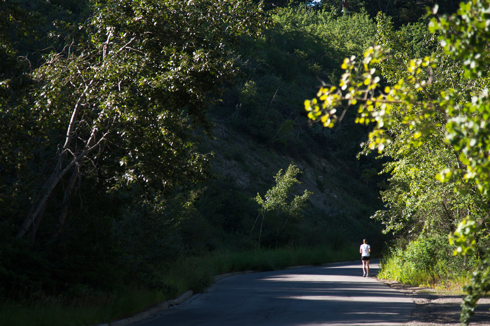Exploring Calgary's Parks: Edworthy Park - Avenue Calgary